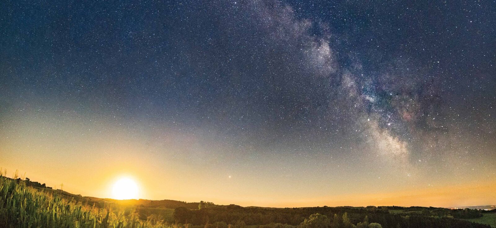 Flowers & Nature Panels