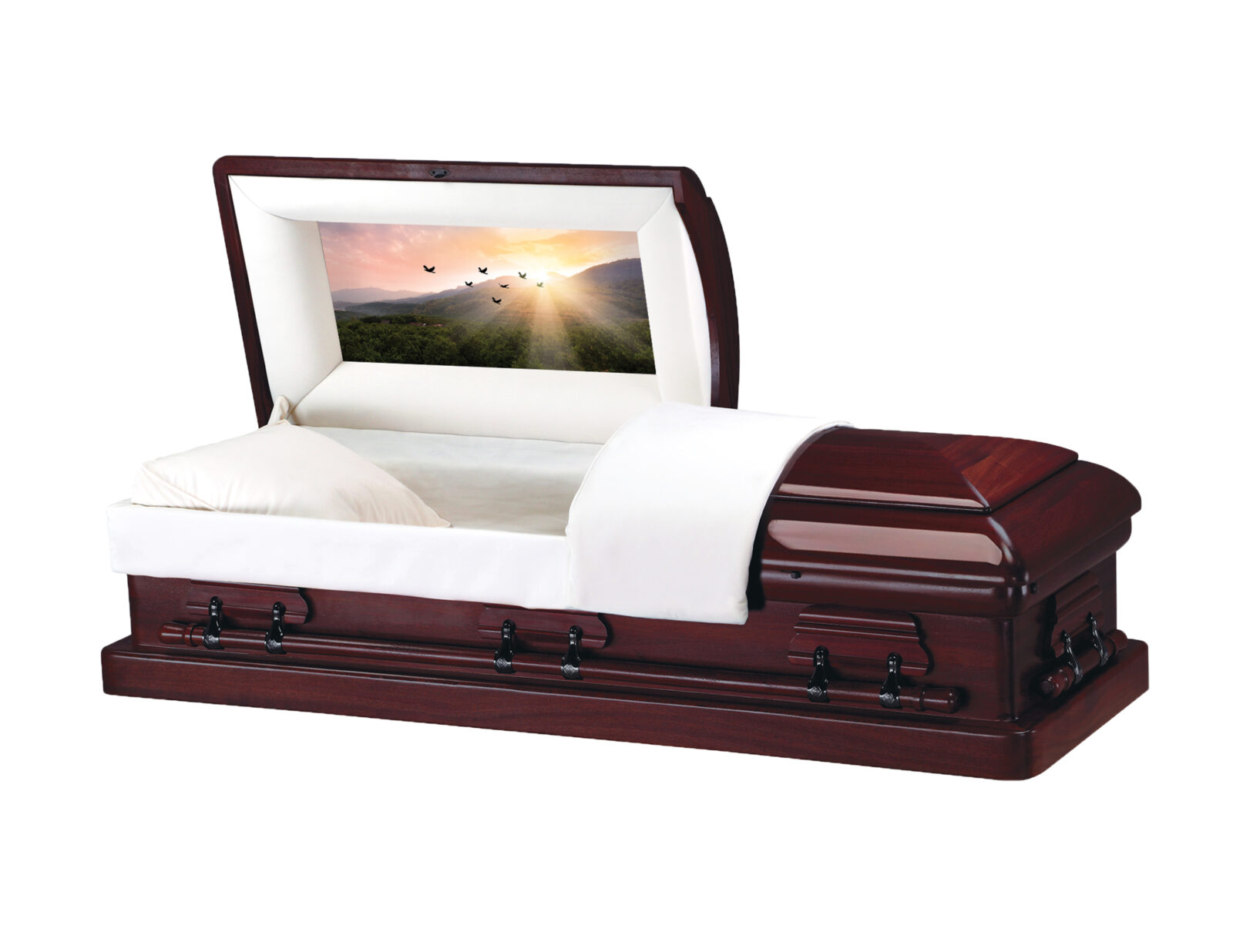 Flowers & Nature Panels